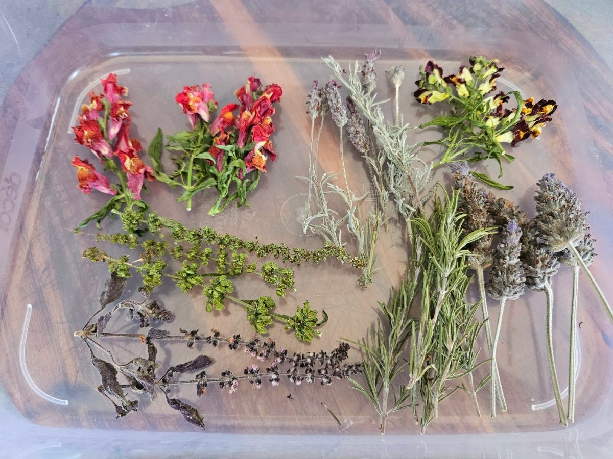 How To Preserve Flowers In Oil - The homey lif3